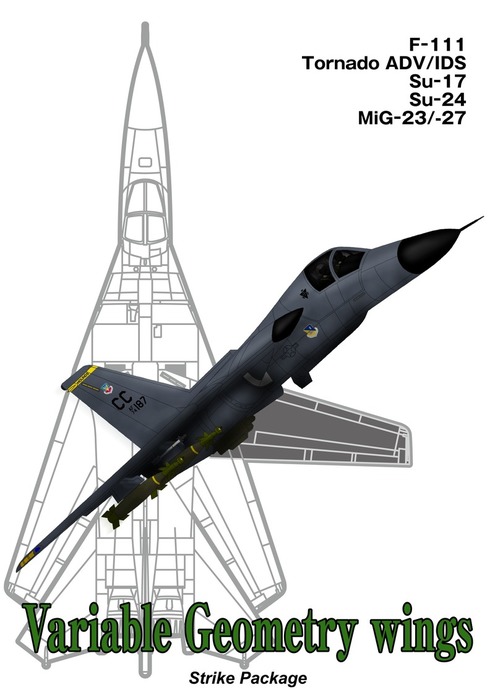 Variable Geometry wings - 画集、同人誌・個人出版 垂飛辺 良（北相馬航空団）：電子書籍試し読み無料 - BOOK ...